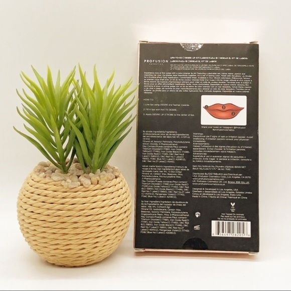 Profusion Cosmetics | Makeup | Profusion Cos Lipstogo 3pc Velvet Lip ...